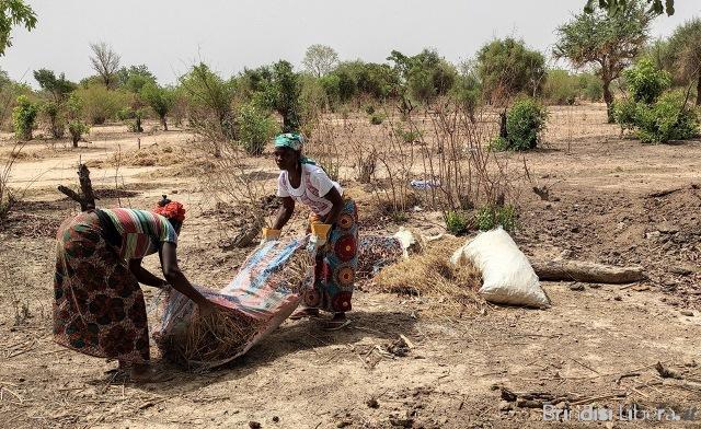 Il ponte di luce tra il Salento e il Sahel: una nuova rotta per la ...